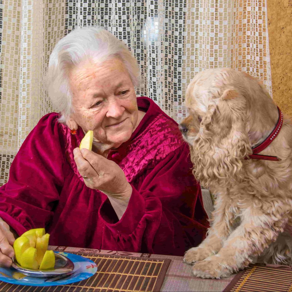 Home - The Estate & Elder Law Center